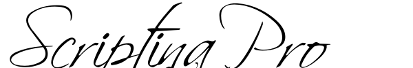 Скачать шрифт Scriptina Pro (Scriptina Pro В) - Fontomania.ru